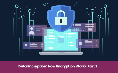 Data Encryption: How Encryption Works Part 2 - Parablu